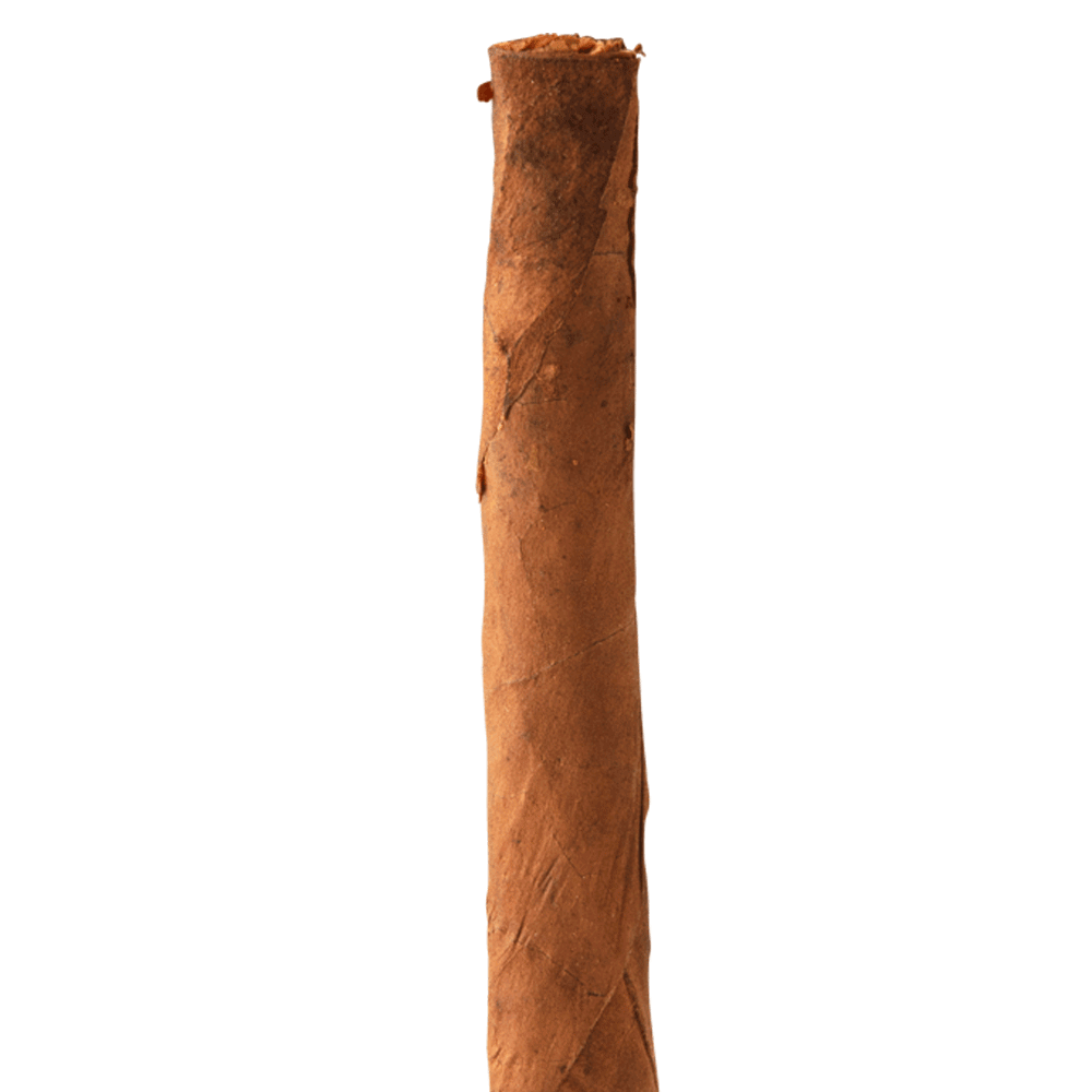Backwoods Select Pennsylvania Primo | Cigars.com